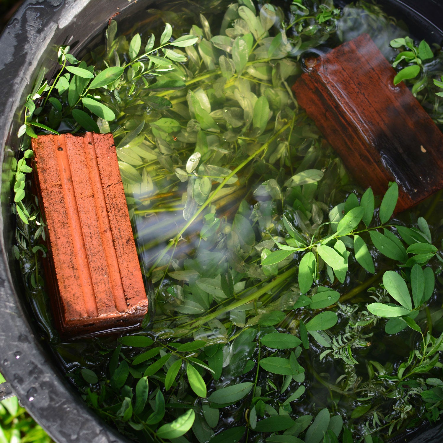 pH.Lab 100% Natural Indigo Dyeing Kit | Philip Huang